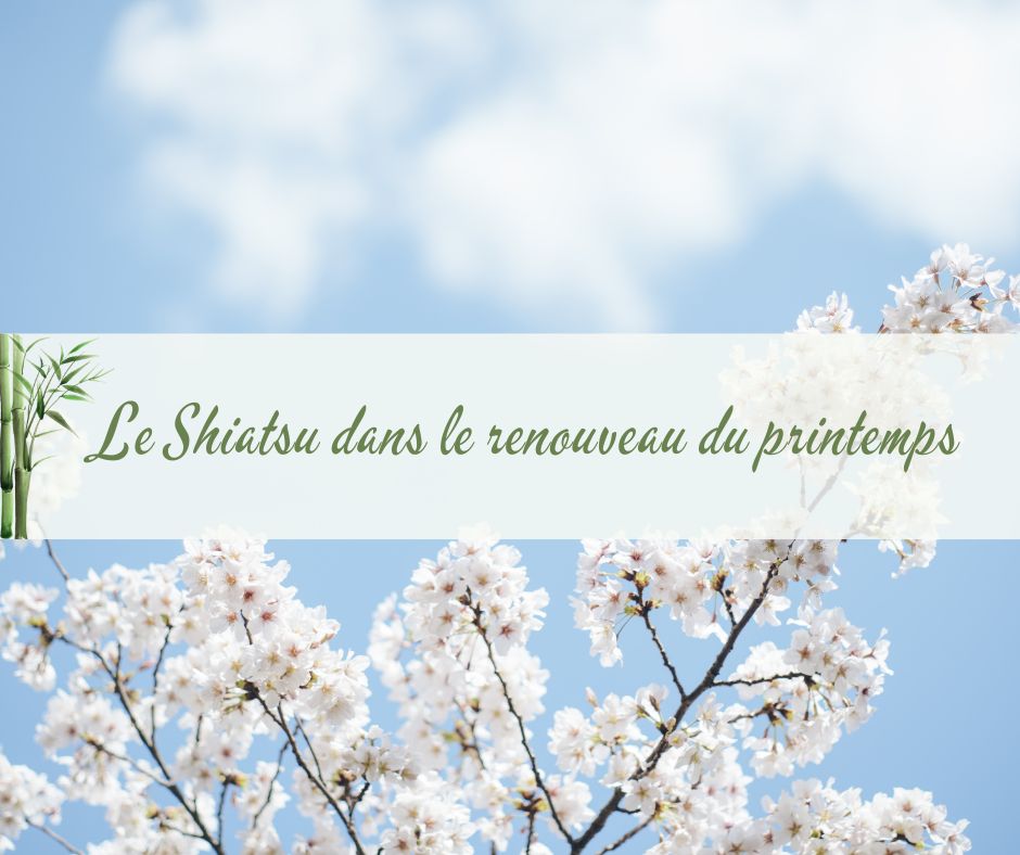 Shiatsu au printemps : pour stimuler le foie et la vésicule biliaire